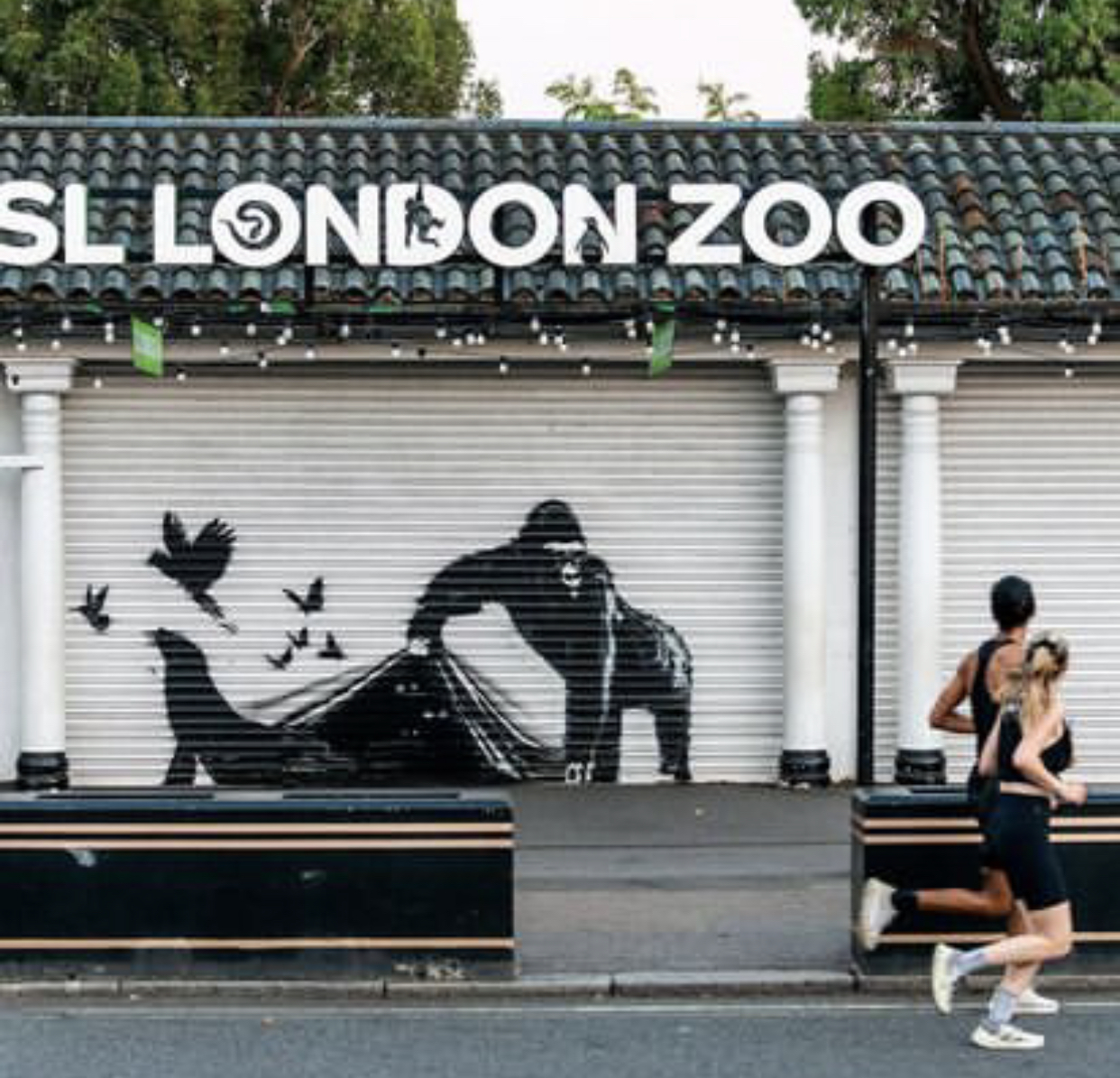 Banksy's Ninth Animal-Themed Artwork Discovered at London Zoo